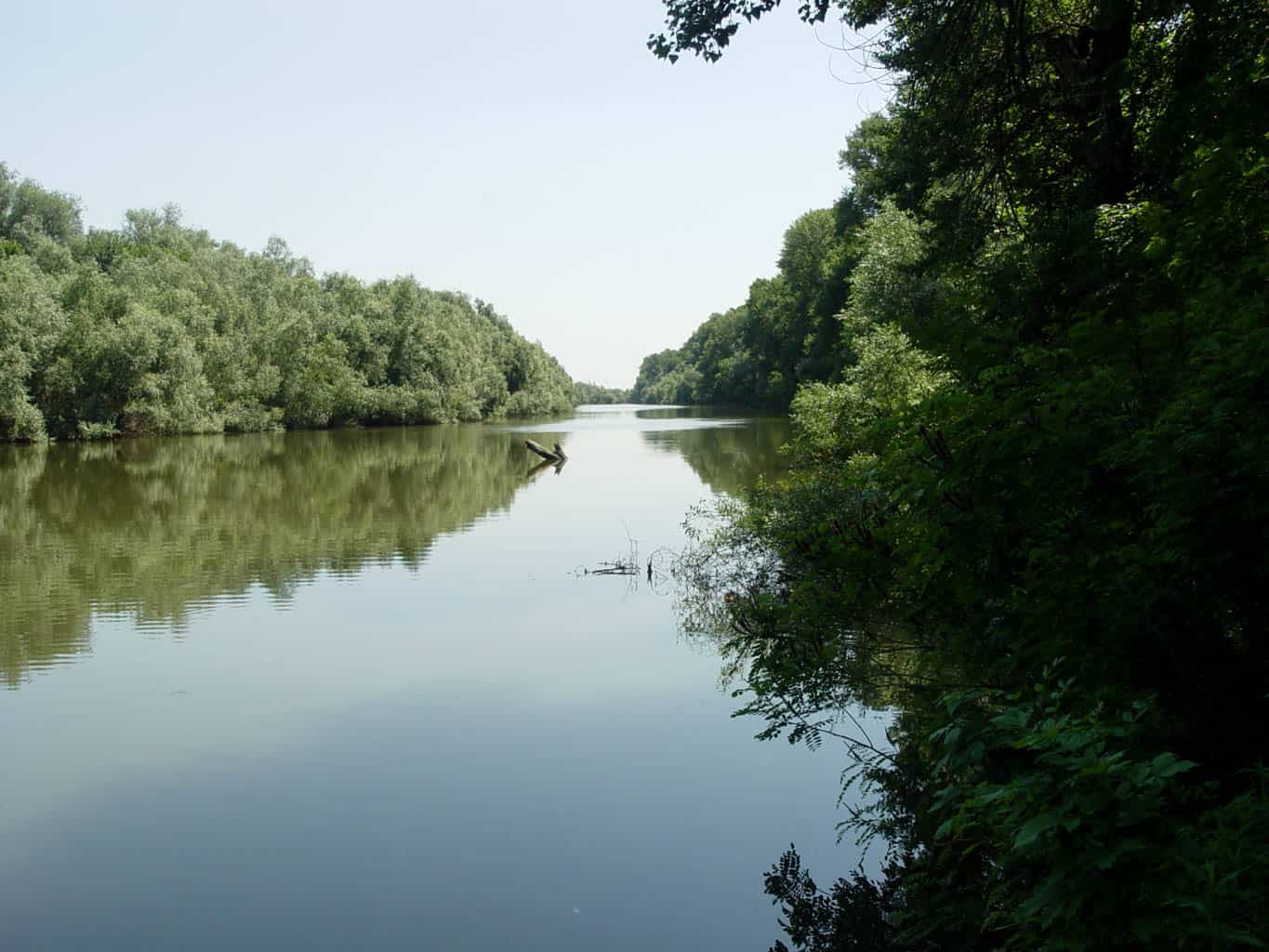 Milka WILDIsland Candidate - European Wilderness Network